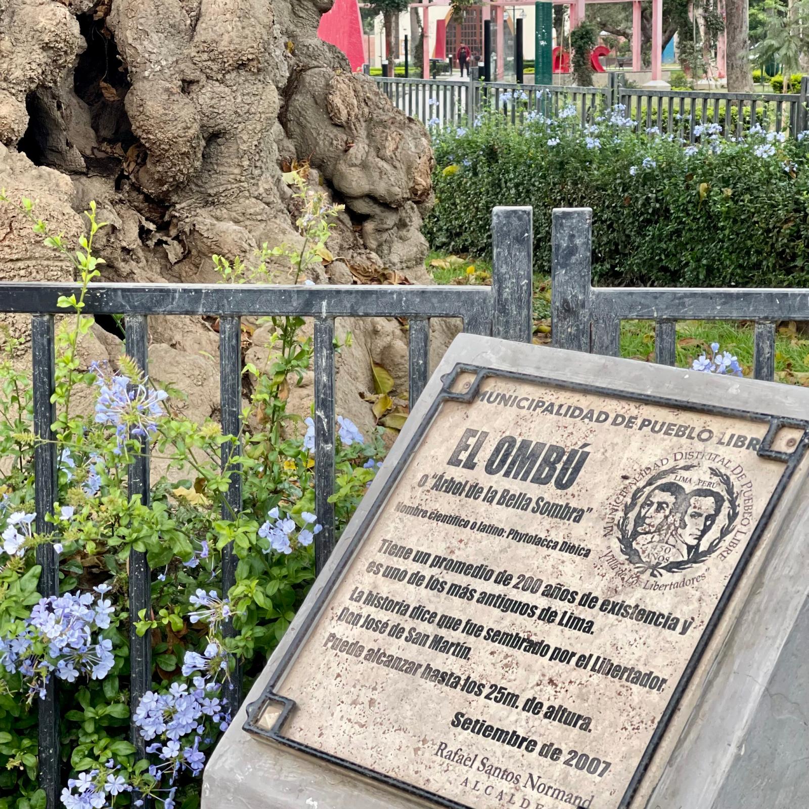 El Ombú: Living History in Pueblo Libre | Pueblo Libre Lima